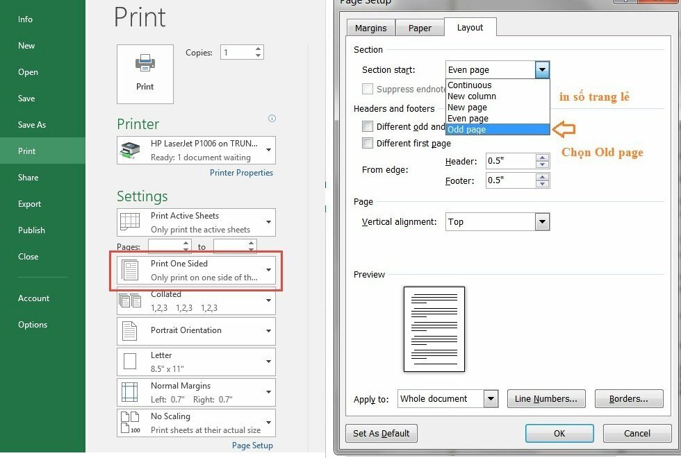 Cách in 2 mặt trong Excel máy in Canon 2900 đơn giản nhất, 2375, Ngọc ...