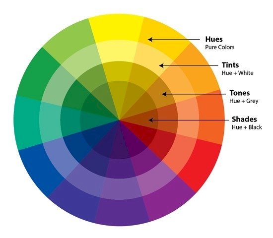 Color tone là gì? Các tone màu chính được ứng dụng trong thiết kế